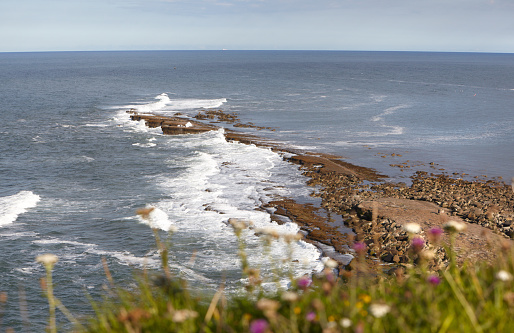 The Geology of the Yorkshire Coast – PLACE